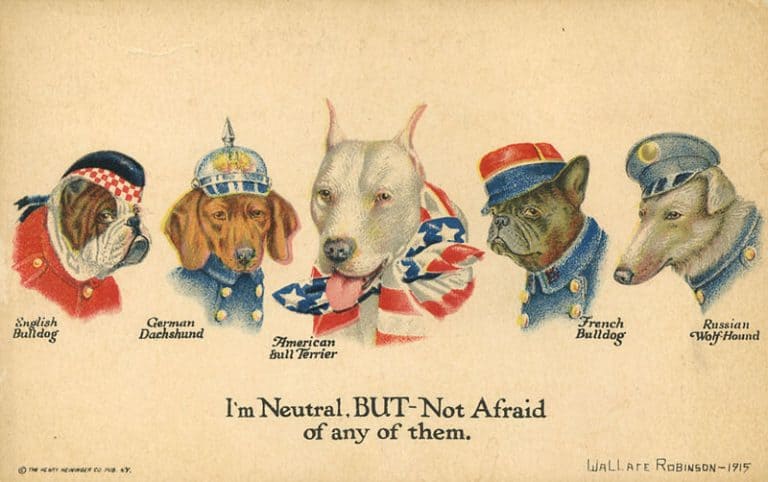 The Complete Guide to the American Pit Bull Terrier - K9 Web