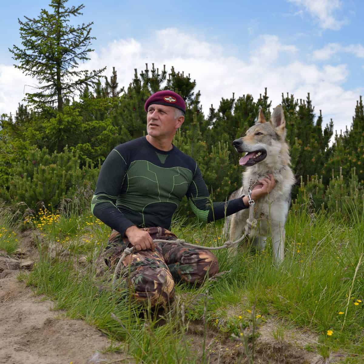 Dog Breed 101: What is a Czechoslovakian Wolfdog? - K9 Web