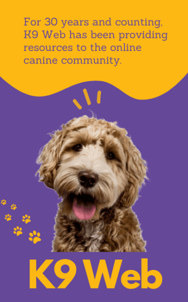 Sheepadoodle: Guide to Owning a Sheepdog Poodle Mix (Sheepapoo) - K9 Web