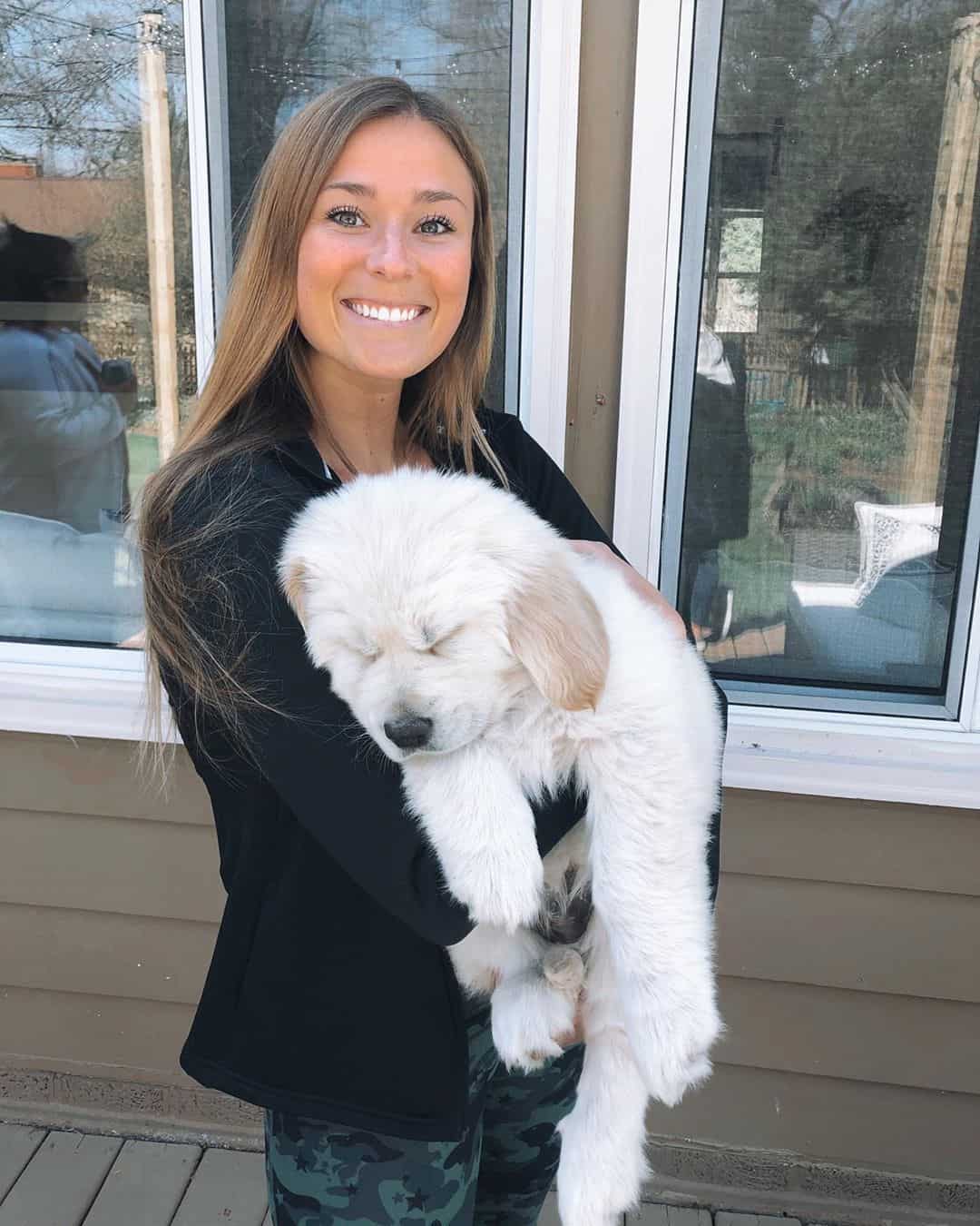 Sulaako Golden Pyrenees-koira sydämesi? | Image & Innovation