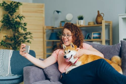 Shiba Inu Dog Price: How Much Does a Shiba Puppy Cost? - K9 Web