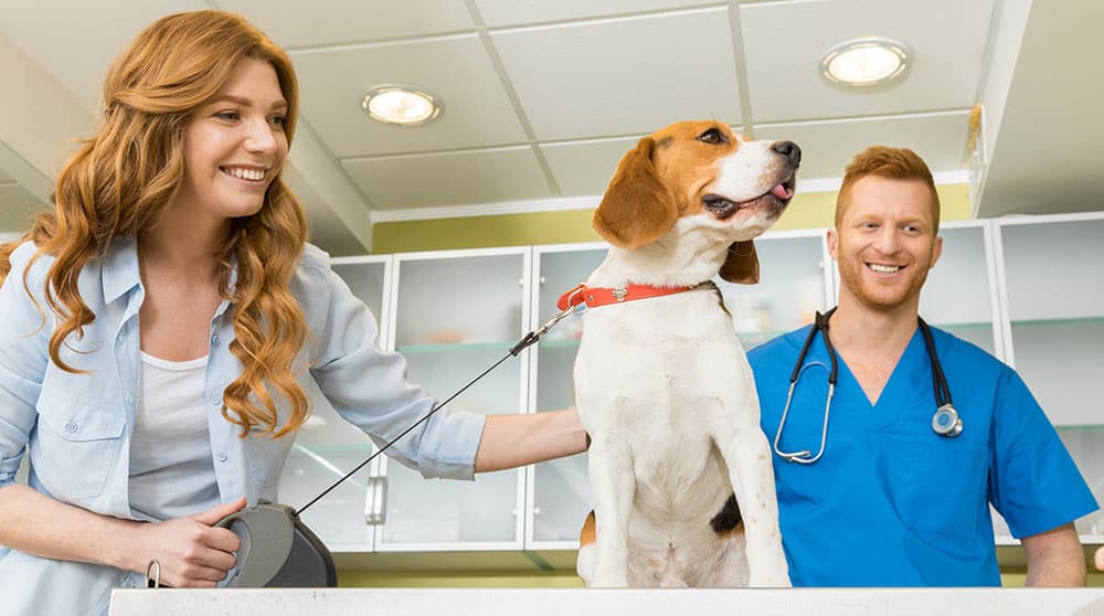 The most comprehensive dog acronym list - K9 Web