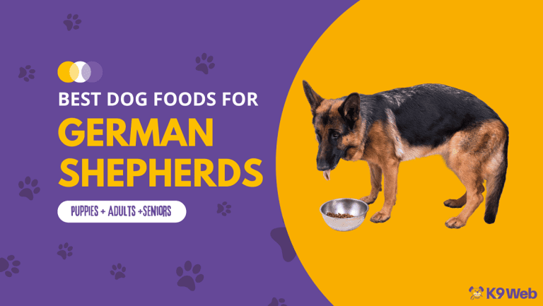 16 Best Dog Foods for German Shepherds 2023 (Premium & Budget) - K9 Web