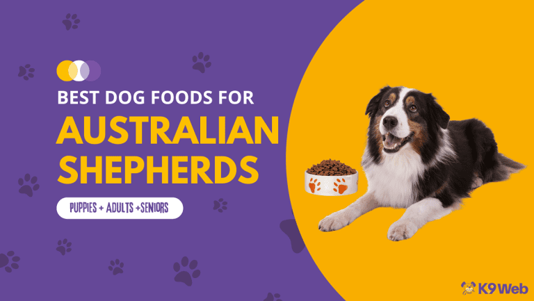 15 Best Dog Food for Australian Shepherds 2023 (Premium & Budget) - K9 Web