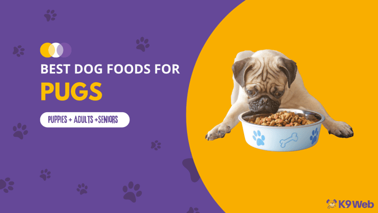 20 Best Dog Foods for Pugs 2023 (Premium & Budget) - K9 Web