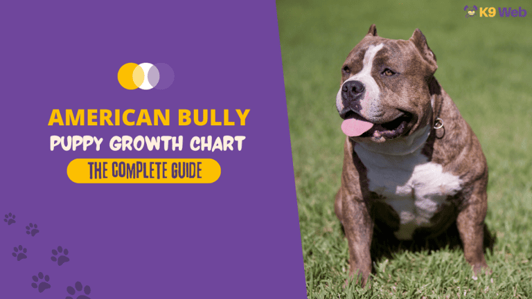 American Bully Growth and Weight Chart (Male & Female) - K9 Web