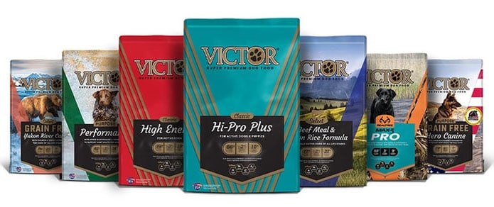 Which Victor Dog Food Is Best